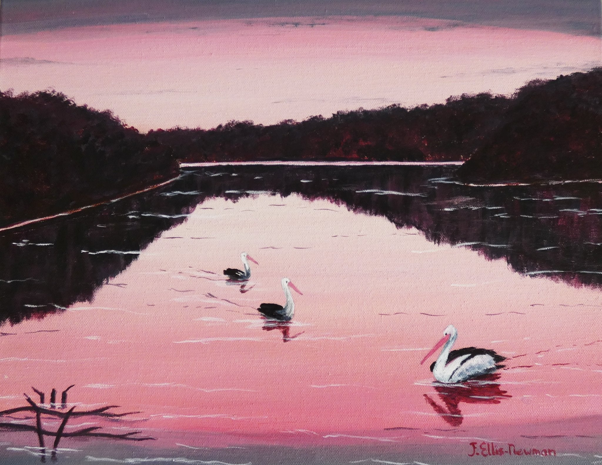 Pelicans at Sunset on the Mighty Murray – The Online Art Gallery